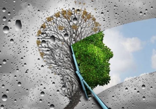 Mưa axit ảnh hưởng như thế nào đến đời sống của bạn? - Aqualife